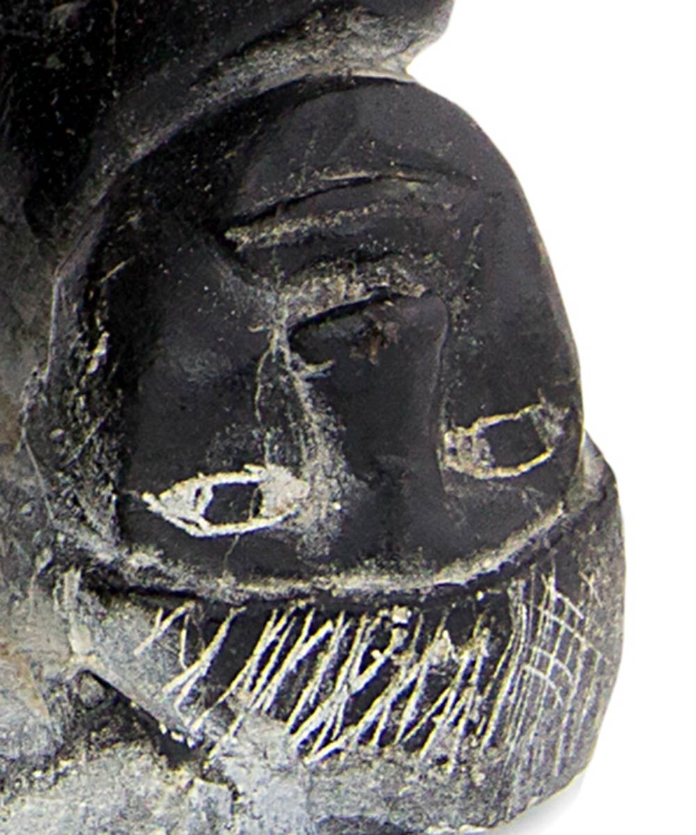 Hunter Under the Northern Lights